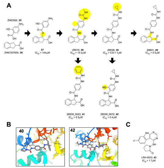 An Update on the Current State of SARS-CoV-2 Mac1 Inhibitors
