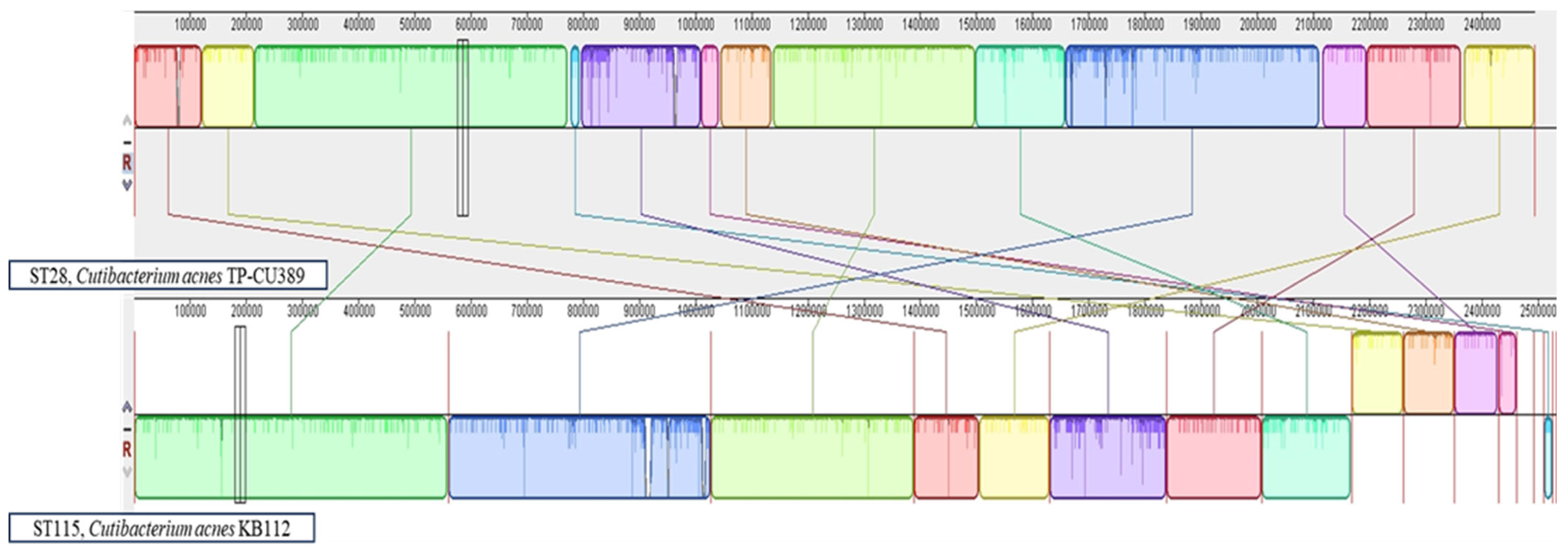 First Report of Plasmid-Mediated Macrolide-Clindamycin-Tetracycline ...