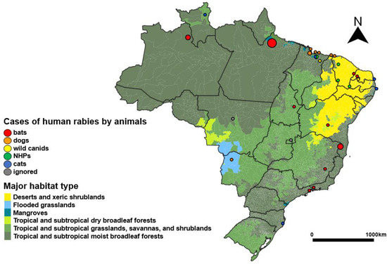 Fifty Years of the National Rabies Control Program in Brazil under the ...