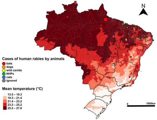 Pathogens | Free Full-Text | Fifty Years of the National Rabies Control ...