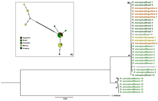 Pathogens | Free Full-Text | Low Genetic Diversity of the Only Clade of the Tick Rhipicephalus ...