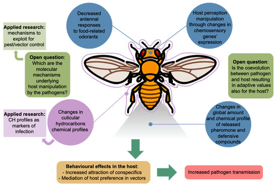 Pathogen-Mediated Alterations of Insect Chemical Communication: From ...