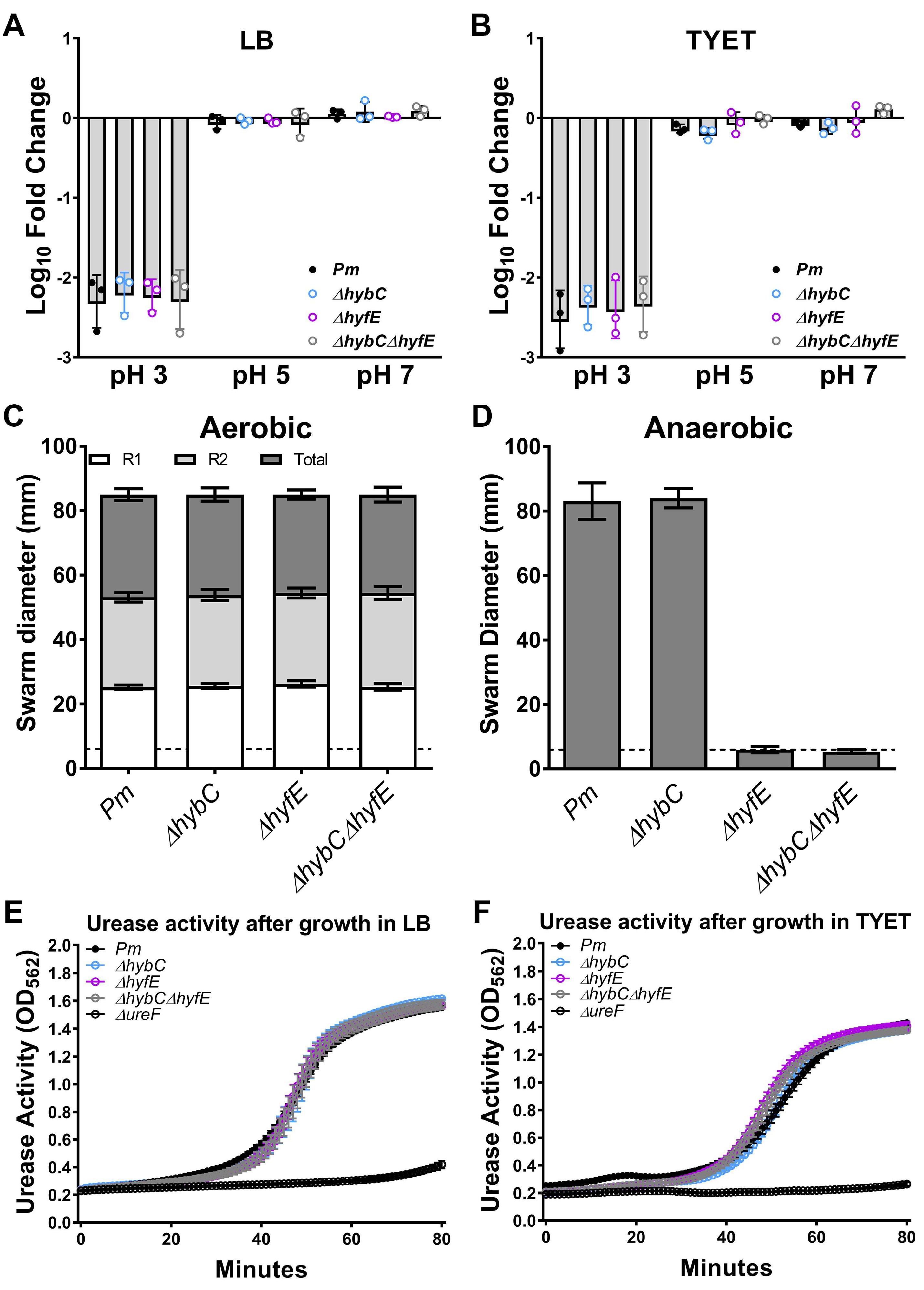 Differential Contribution of Hydrogen Metabolism to Proteus mirabilis ...