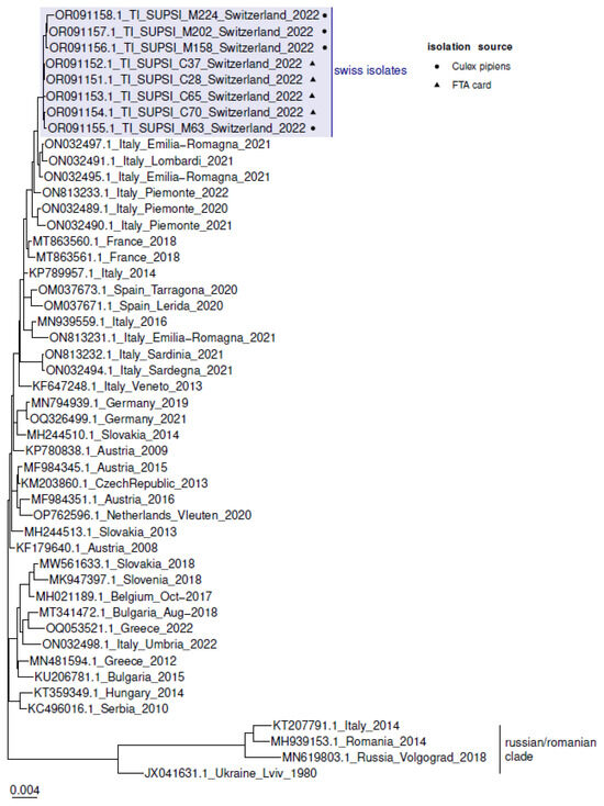 First Detection of West Nile Virus Lineage 2 in Mosquitoes in ...