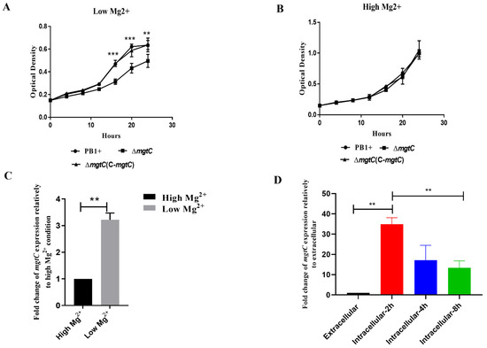 Impact of MgtC on the Fitness of Yersinia pseudotuberculosis