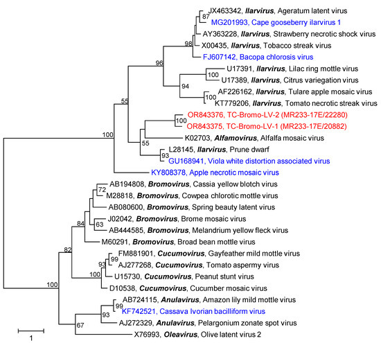 Exploring the Diversity of Plant-Associated Viruses and Related Viruses ...