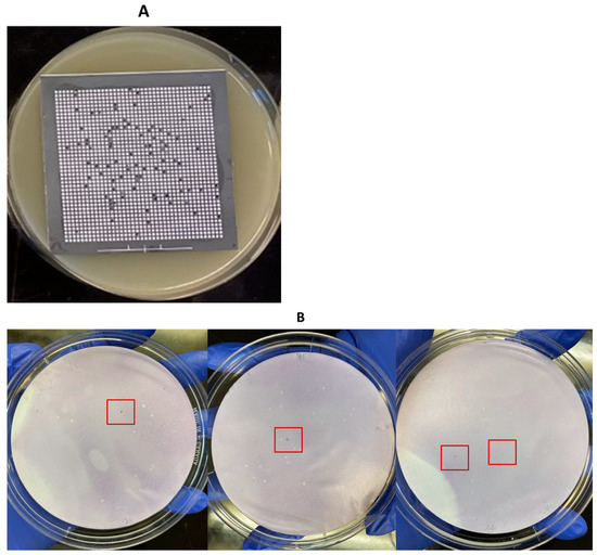 Pathogens | Free Full-Text | Addressing Current Challenges in Poultry ...
