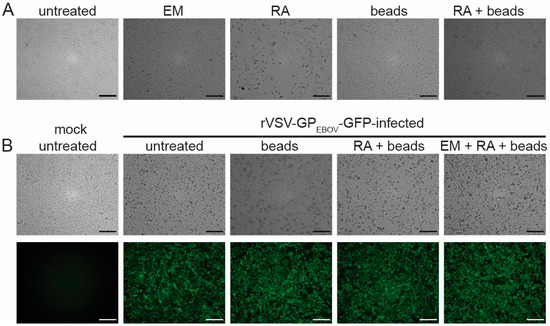 Heat Inactivation of Nipah Virus for Downstream Single-Cell RNA ...
