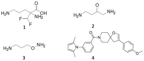 Polyamine Metabolism for Drug Intervention in Trypanosomatids