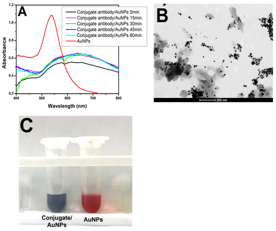 Development of a Gold Nanoparticle-Based ELISA for Detection of PCV2