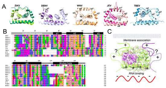 The Dynamic Landscape of Capsid Proteins and Viral RNA Interactions in ...