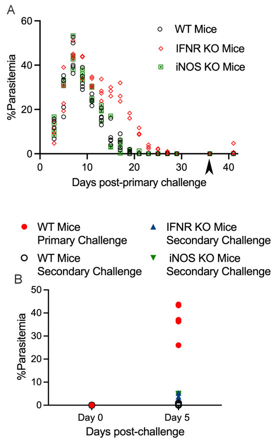 Pathogens | Free Full-Text | Immune Mediators Important for a ...