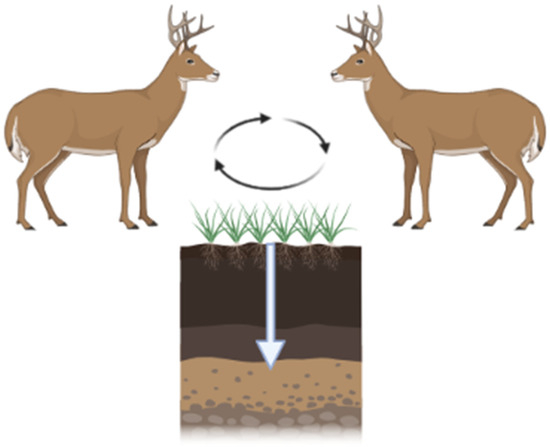 Chronic Wasting Disease: State of the Science