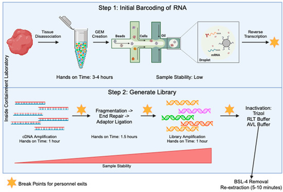 Preservation of scRNA-Seq Libraries Using Existing Inactivation Protocols