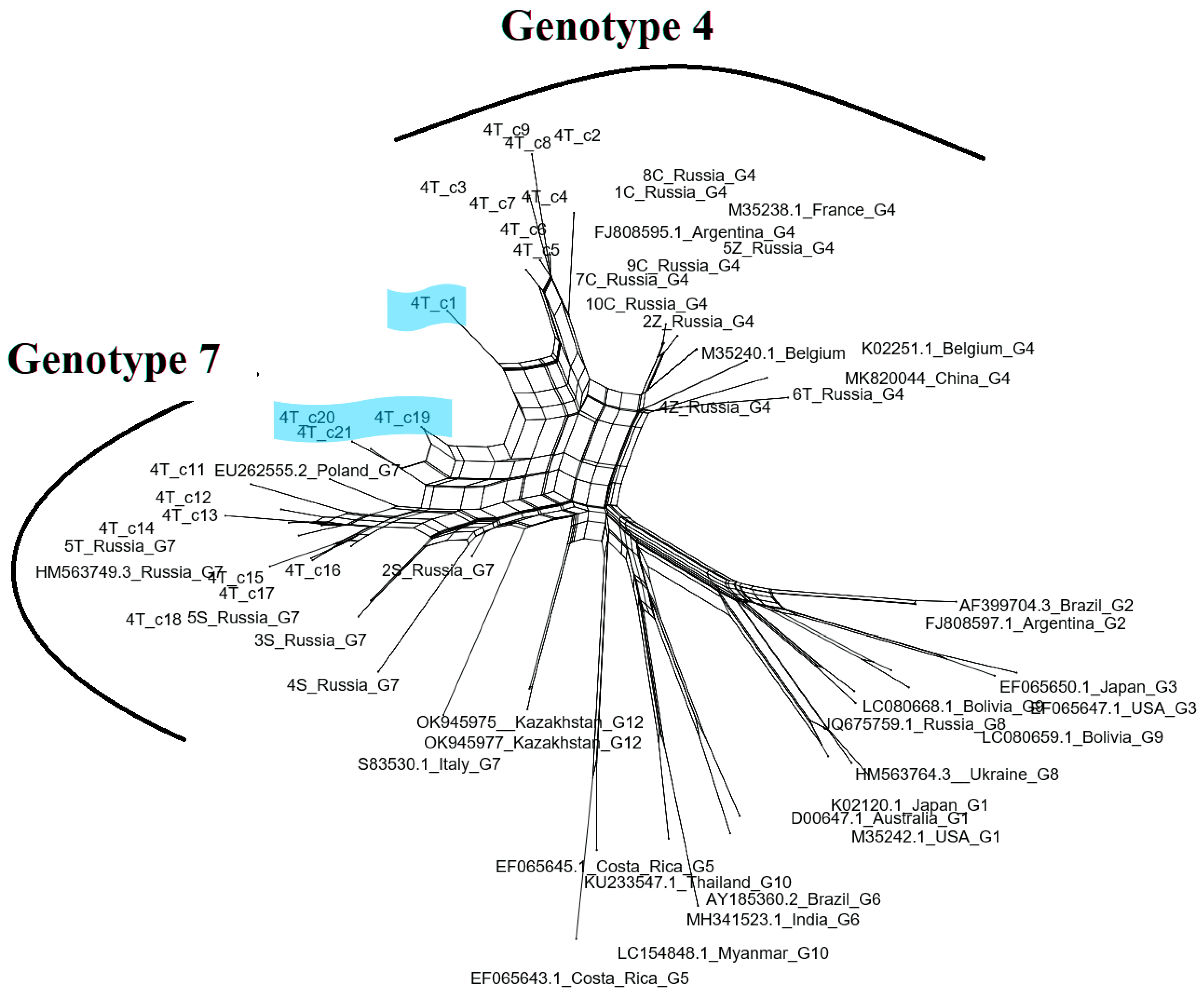 Genetic Variability of Bovine Leukemia Virus: Evidence of Dual ...