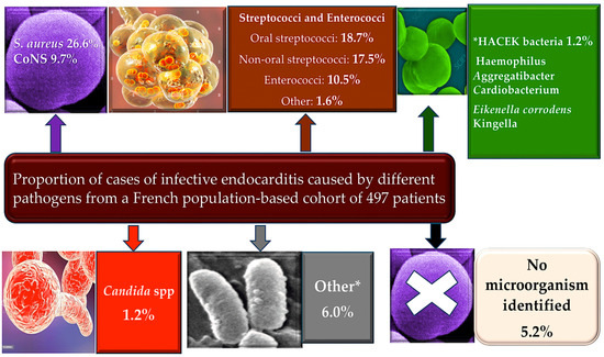 Pathogens | Free Full-Text | Current Knowledge of Enterococcal ...