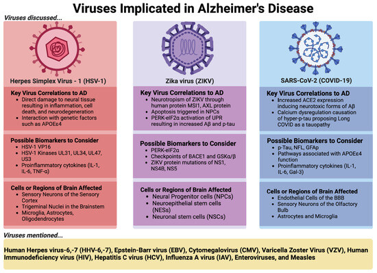 Viral Infections, Are They a Trigger and Risk Factor of Alzheimer’s ...