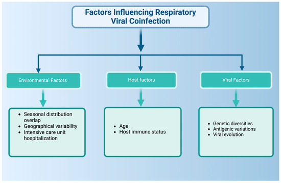Respiratory Viral Coinfections: Insights into Epidemiology, Immune ...