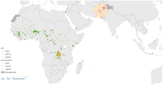 The Last Mile in Polio Eradication: Program Challenges and Perseverance