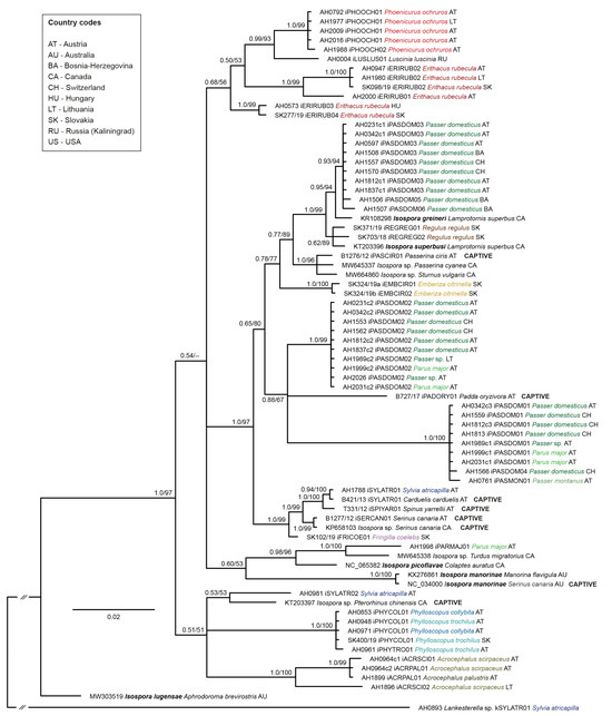 Isospora and Lankesterella Parasites (Eimeriidae, Apicomplexa) of ...