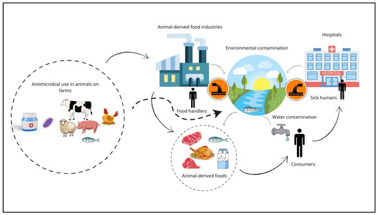 Exploring Extended-Spectrum Beta-Lactamase (ESBL)-Producing Escherichia ...