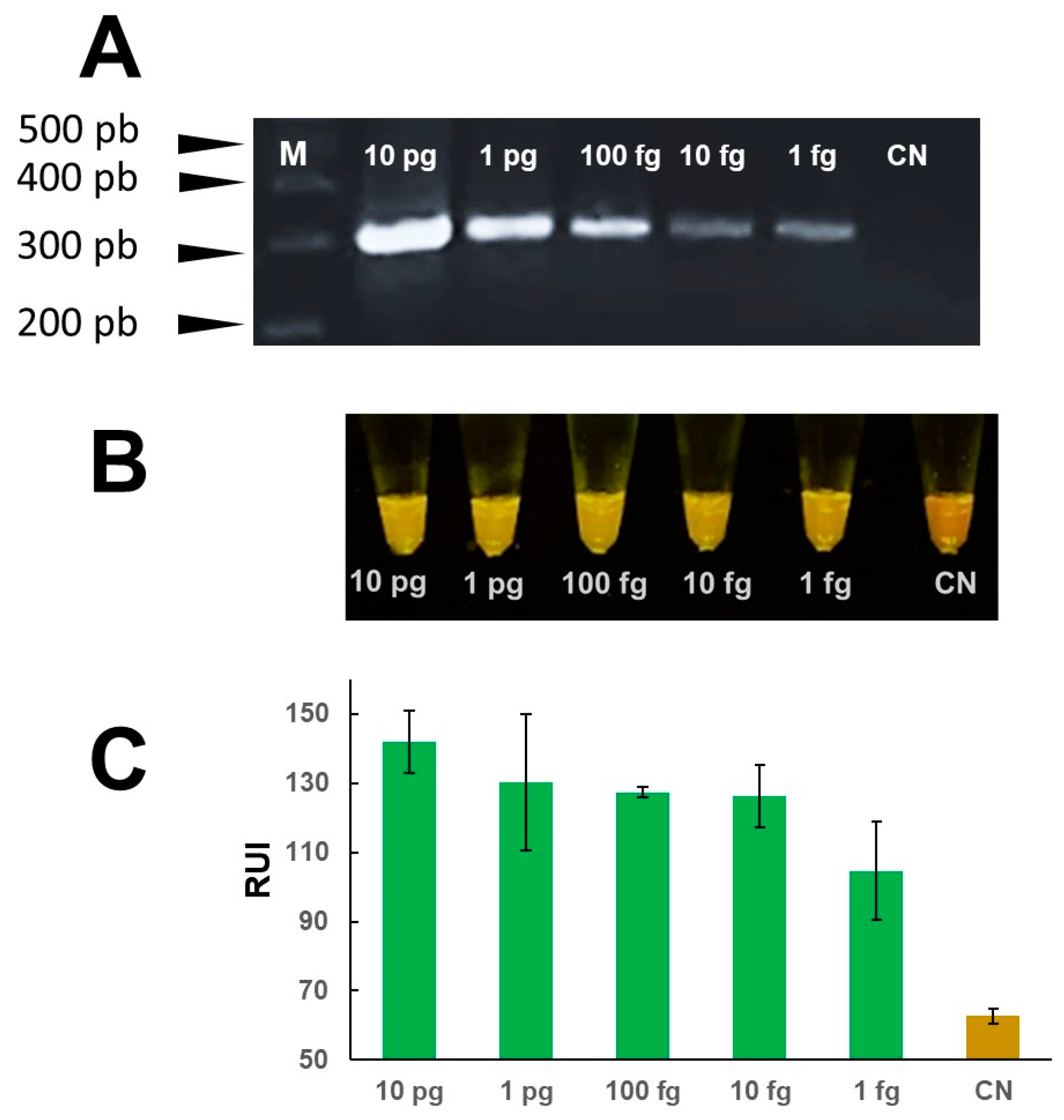 A PCR Test Using the Mini-PCR Platform and Simplified Product Detection ...