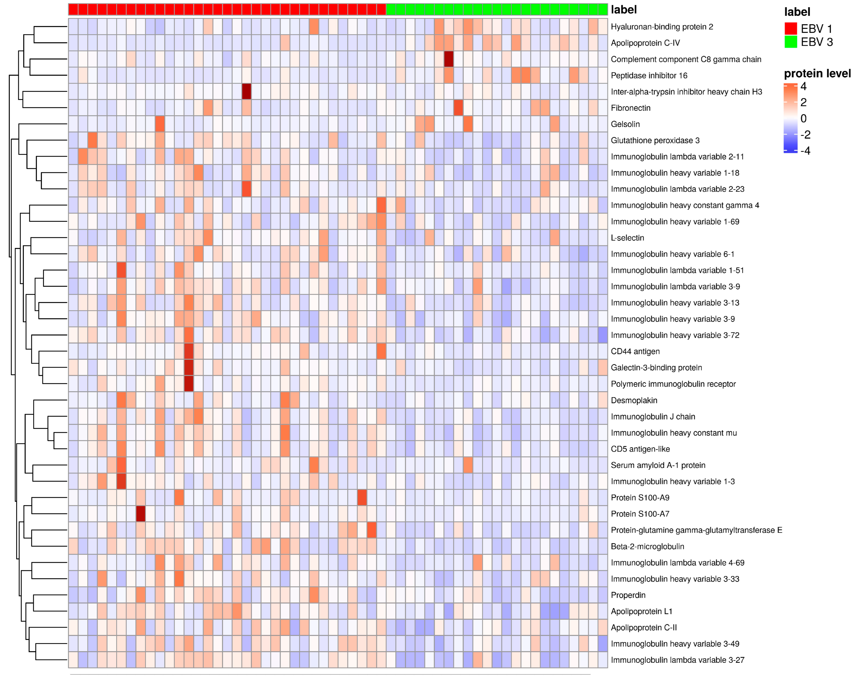 The Impact of Acute EBV Infection on Changes in the Serum Proteome in ...