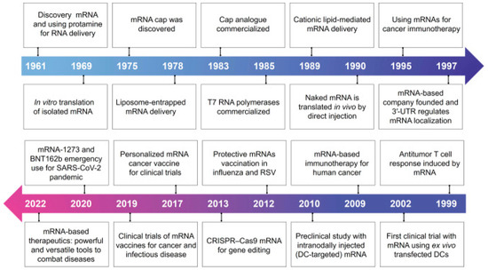 Brief Insights into mRNA Vaccines: Their Successful Production and ...