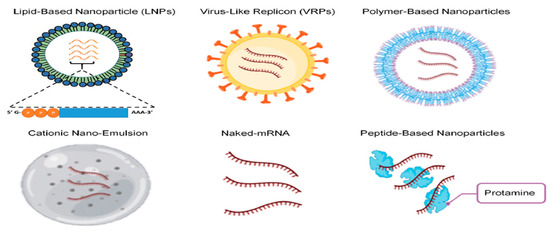 Brief Insights into mRNA Vaccines: Their Successful Production and ...
