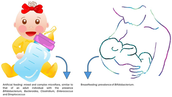 Difference in the Intestinal Microbiota between Breastfeed Infants and ...