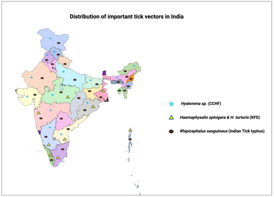 Hard Ticks as Vectors: The Emerging Threat of Tick-Borne Diseases in India