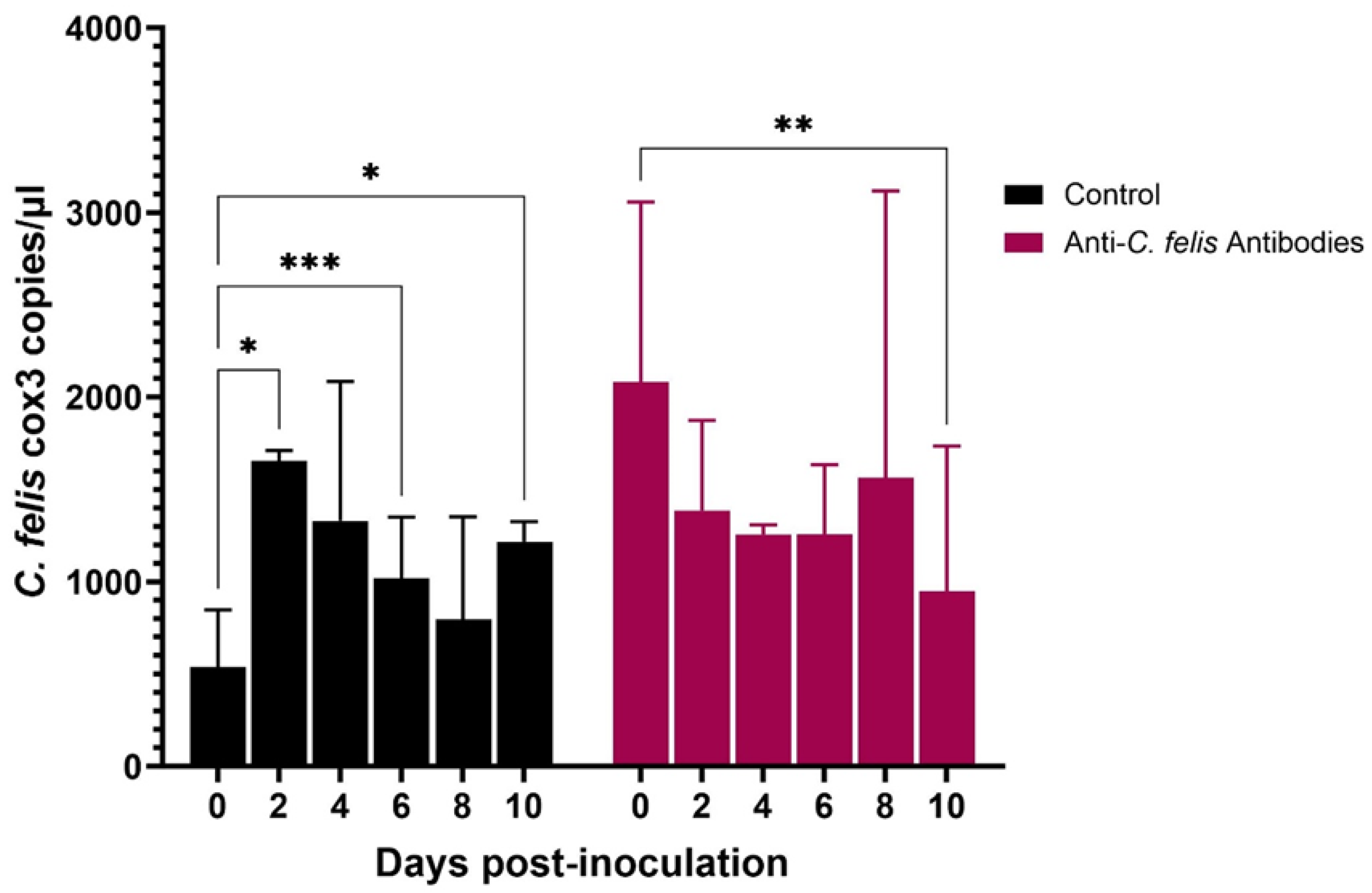 The Establishment of a Novel In Vitro System for Culturing Cytauxzoon felis