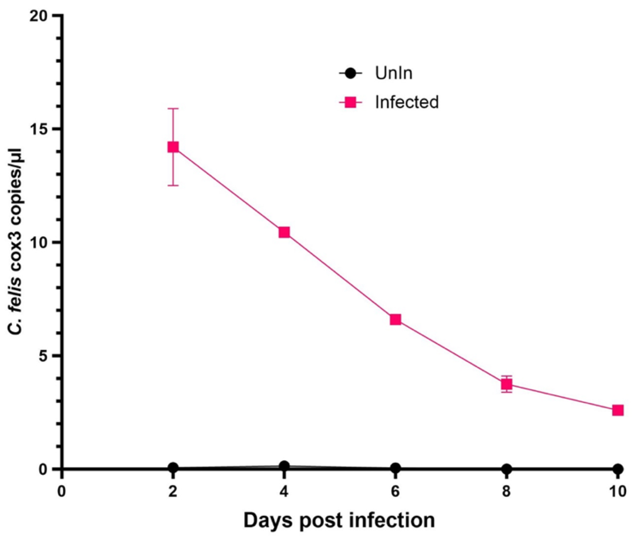 The Establishment of a Novel In Vitro System for Culturing Cytauxzoon felis