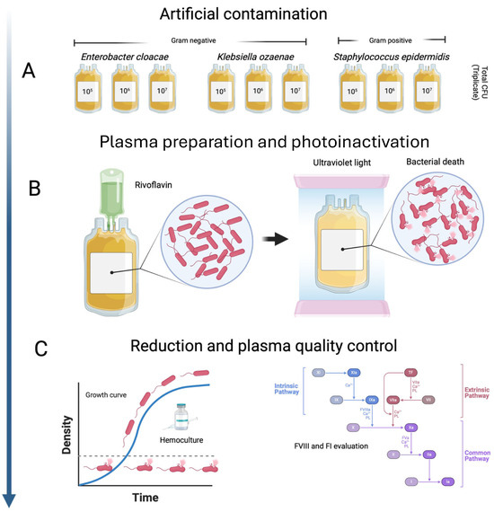 Plasma Photoinactivation of Bacterial Isolated from Blood Donors Skin ...
