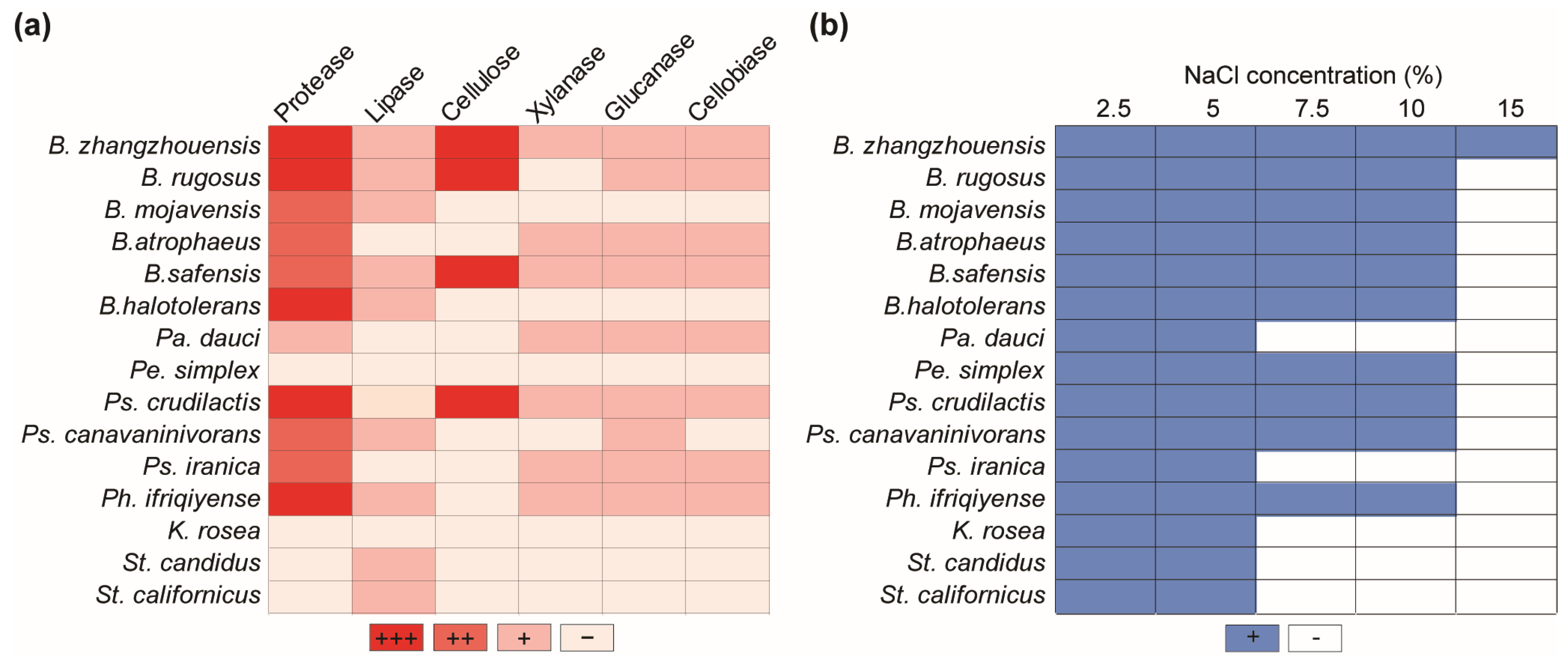 Pathogens | Free Full-Text | Uncovering the Antifungal Potential of Plant-Associated Cultivable ...