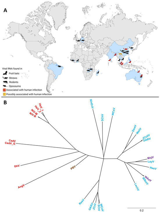A Comparative Assessment of the Pathogenic Potential of Newly ...