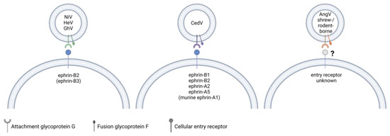 A Comparative Assessment of the Pathogenic Potential of Newly ...