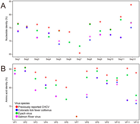 First Genomic Evidence of California Hare Coltivirus from Natural ...