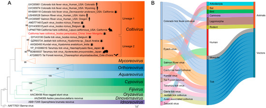First Genomic Evidence of California Hare Coltivirus from Natural ...