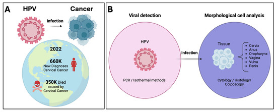 Isothermal Technologies for HPV Detection: Current Trends and Future ...