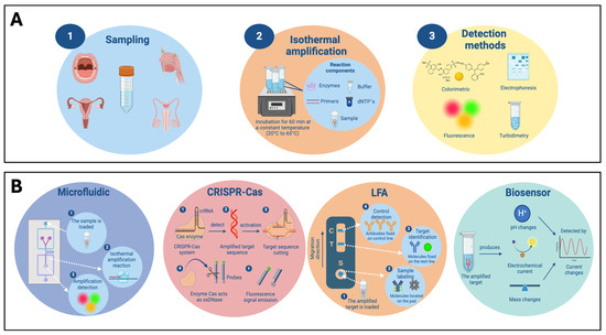 Pathogens | Free Full-Text | Isothermal Technologies for HPV Detection ...