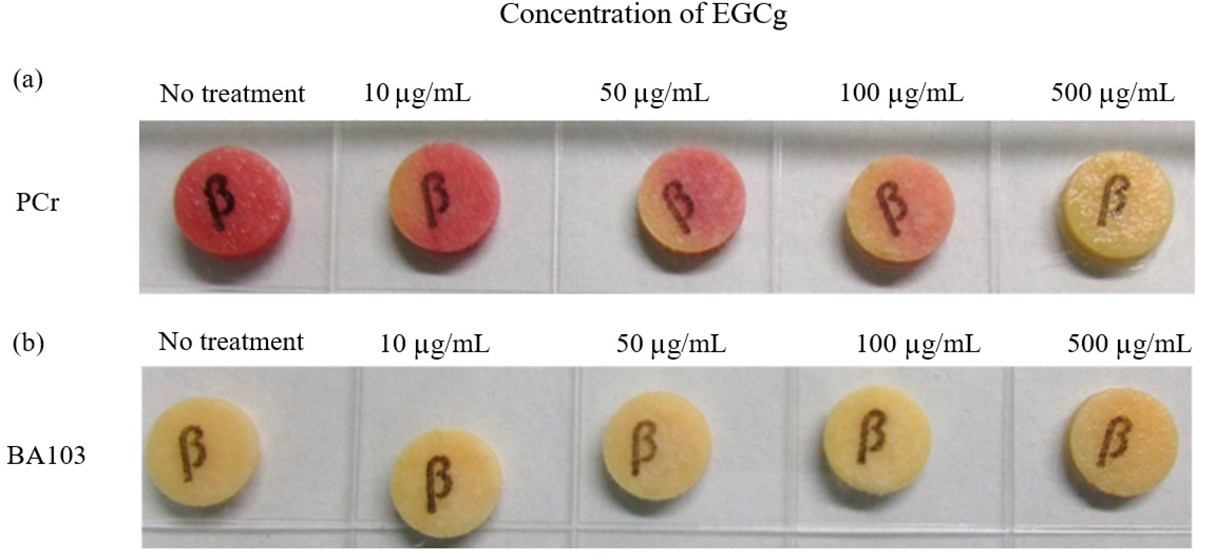 Green Tea Catechin Epigallocatechin Gallate Inhibits Vegetative Cell ...