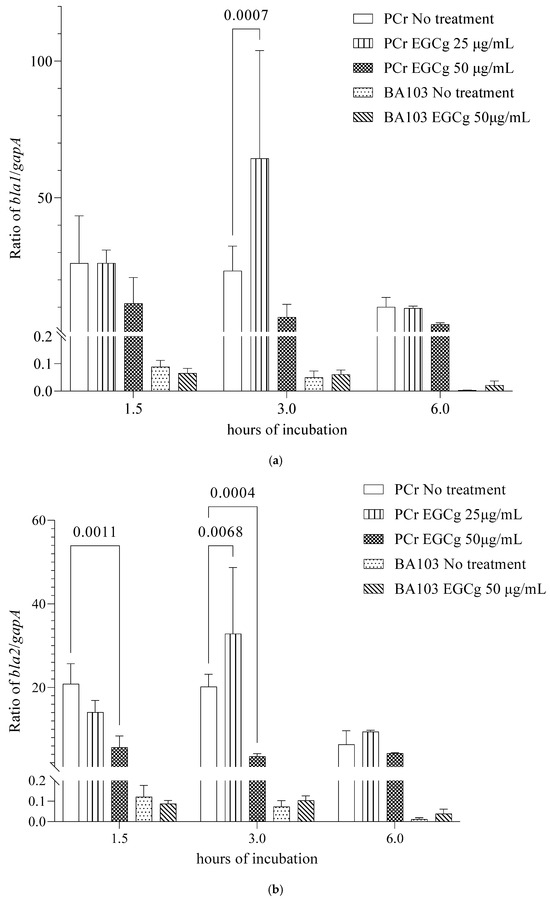 Green Tea Catechin Epigallocatechin Gallate Inhibits Vegetative Cell ...