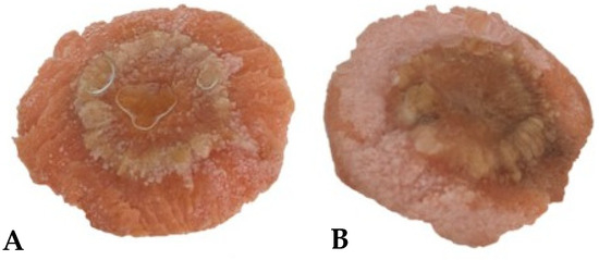 Evaluation of Chemical and Biological Products for Control of Crown ...