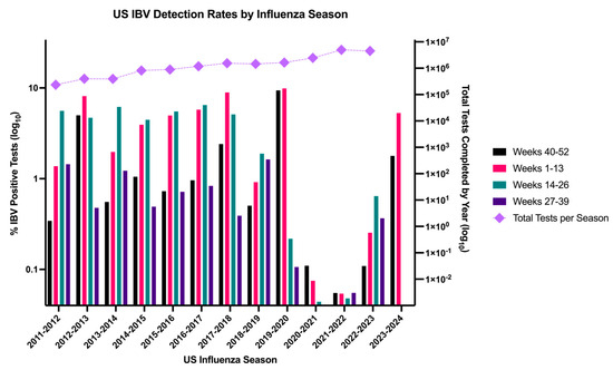 Influenza B Virus Vaccine Innovation through Computational Design