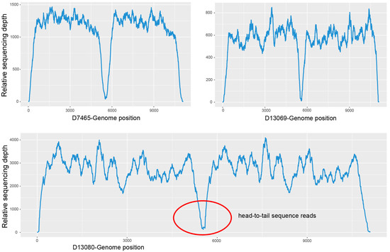 Diverse Head-to-Tail Sequences in the Circular Genome of Human ...