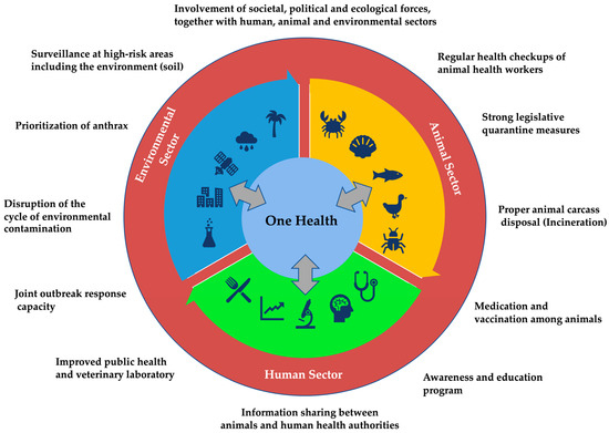 Anthrax in Humans, Animals, and the Environment and the One Health ...