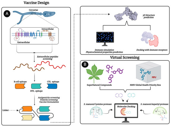 Computational Workflow to Design Novel Vaccine Candidates and Small ...