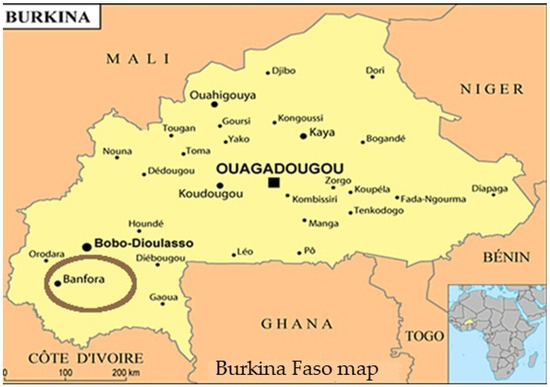 Force of Infection (FOI) and Multiplicity of Infection (MOI) in ...