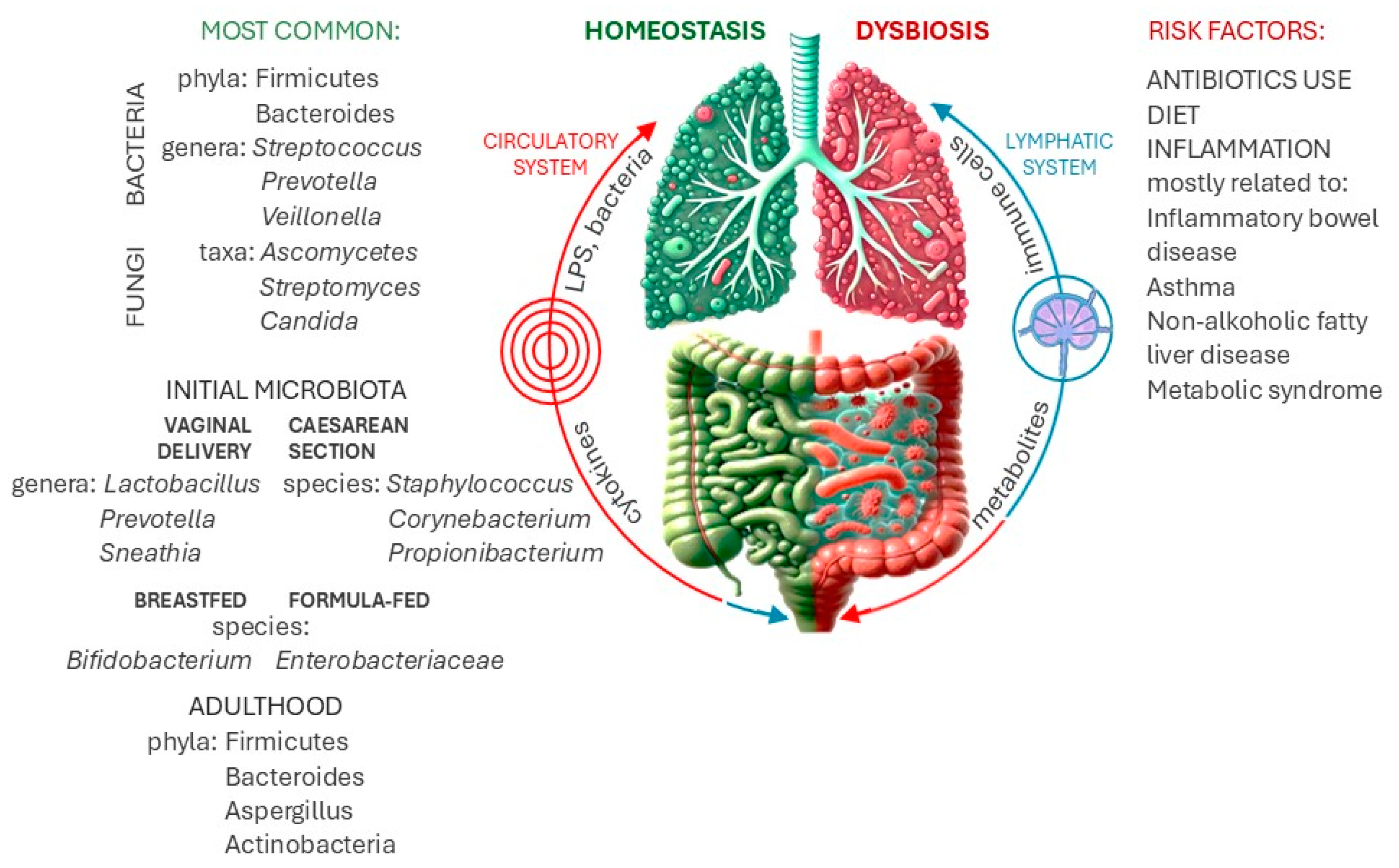 The Intriguing Connection Between the Gut and Lung Microbiomes
